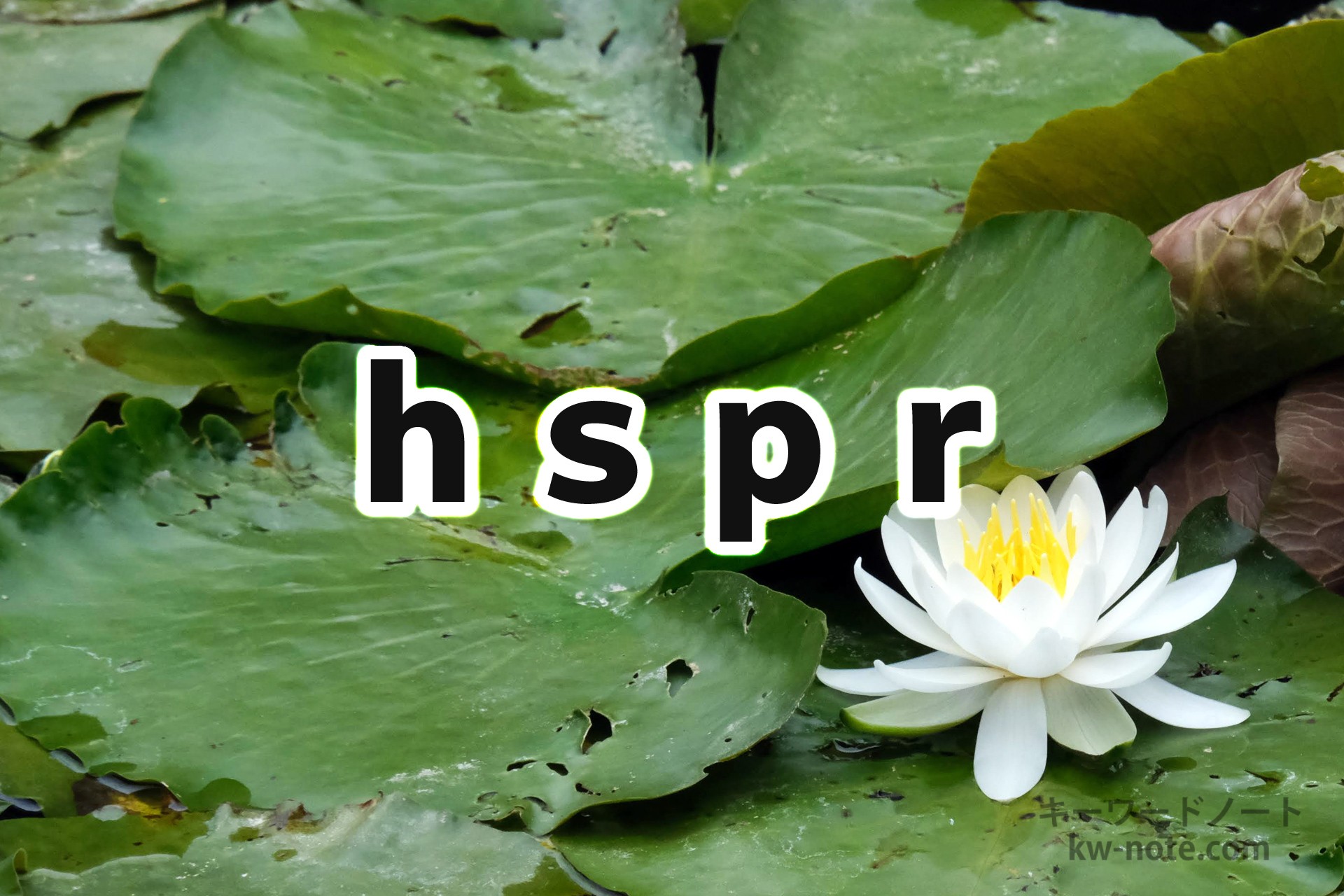 「hspr」とは？意味や語源、使い方を解説 - キーワードノート