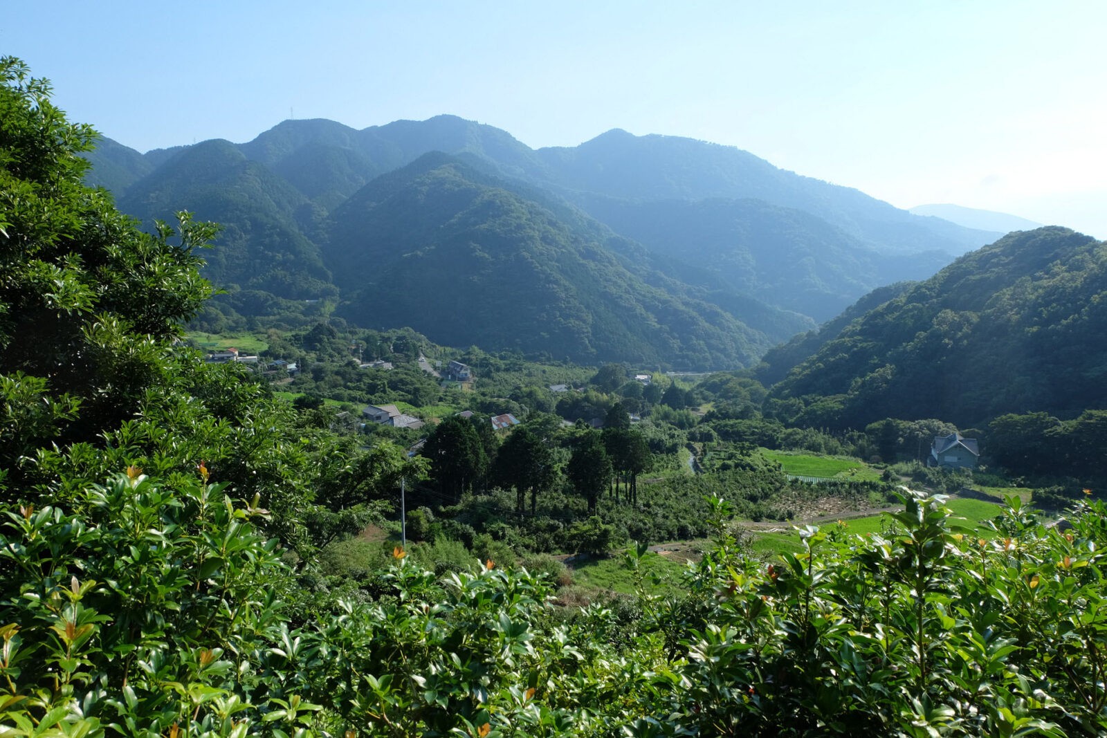 「まるさん」静岡の戸田にある高足ガニが食べられる海鮮系の食堂 - キーワードノート