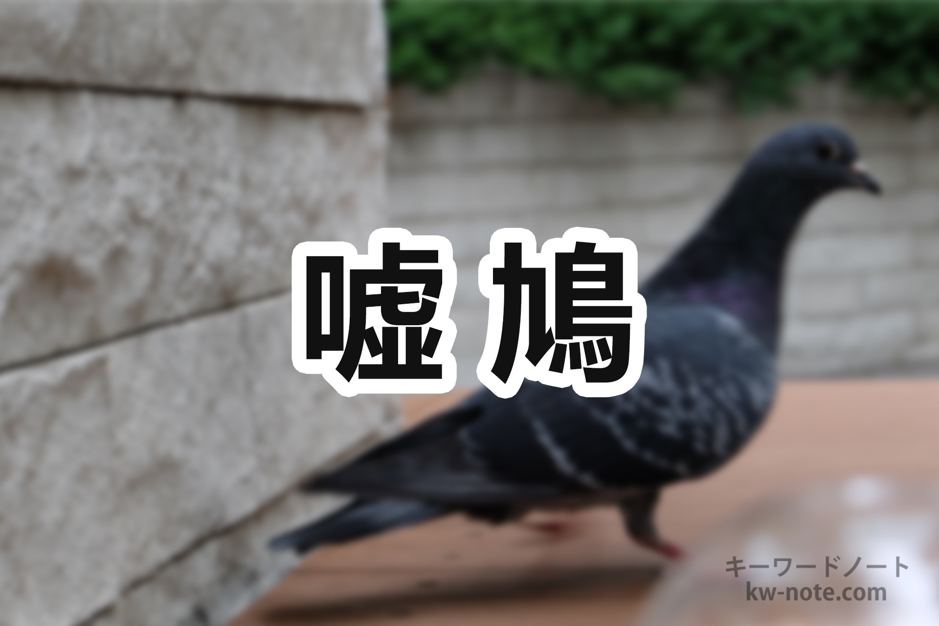 What is "Uso-hato"? Japanese Internet Slang Explained - KEYWORD NOTE